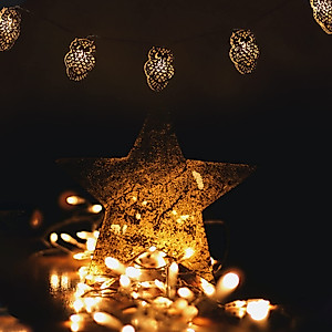 balacoo Owl String Lights Bird String Light with 10 LEDs Halloween String Light Christmas Decoration Lights for Home Garden Outdoor Yard