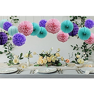 Teal Lavender Purple Pink Party Decorations 16pcs Paper Pom Poms Honeycomb Balls Blue Lanterns Tissue Fans for Wedding Birthday Baby Shower Frozen Party Supplies