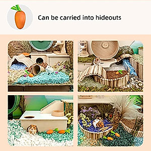 Niteangel Hamster Chew & Decor Toys - for Syrian Dwarf Hamsters Gerbils Mice Lemming Degu or Other Small-Sized Pets (Carrot-Shape (Pack of 6))