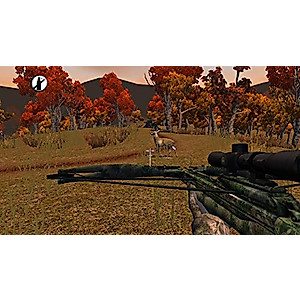 Cabela's: The Hunt Championship Edition - Nintendo Switch