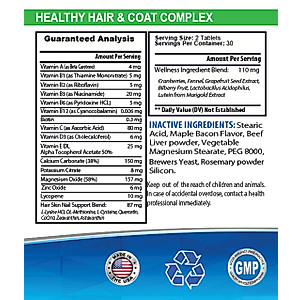 Dog Skin Care Supplements - Dog Hair and Coat Health Complex - Healthy Skin and Nails - Itch Relief - Powerful - Vitamin d for Dogs - 120 Treats (2 Bottles)