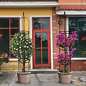 Obelisk Garden Trellis for Climbing Plants, 6 ft Adjustable Heavy Duty Rustproof Thicken Metal Plant Support, Tower Trellis for Climbing Plants Outdoor Indoor Potted Vines, Rose, Flowers(4.16 lbs)