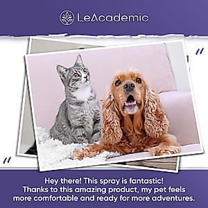 Dog Wound Spray | Cat and Dog Wound Care | Dog Itch Spray | Pet Wound Care + Lavender | Wound Care for Dogs | Cat Wound Care | Horse Wound Care | Wound Care for Cats | Chicken Wound Spray | 4 Oz