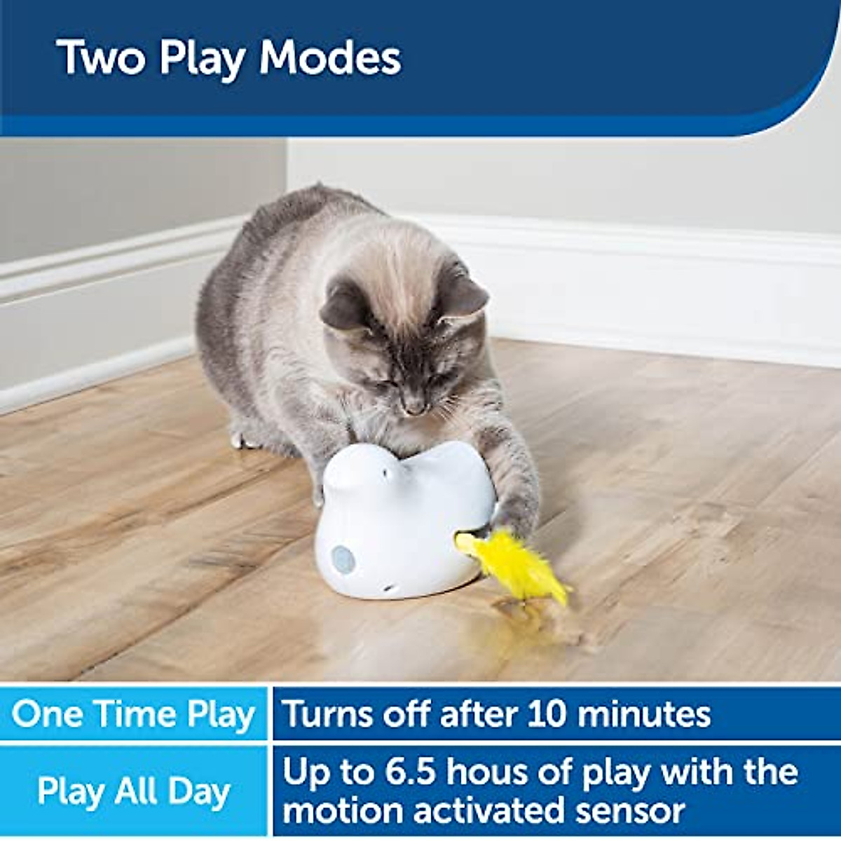 PetSafe Peek-A-Bird Electronic Cat Toy, Automatic Interactive Bird and Mouse Hunt, Indoor Cat Toy, Motion Activated Fun for Kittens
