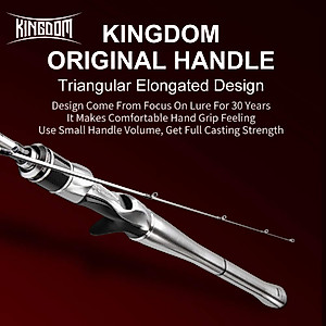 Kingdom Silver Needle Fishing Rods Ultralight Fast Spinning Rod Fuji Ring 2 Section UL L ML M MH Fuji Ring Carbon Casting Travel Rod