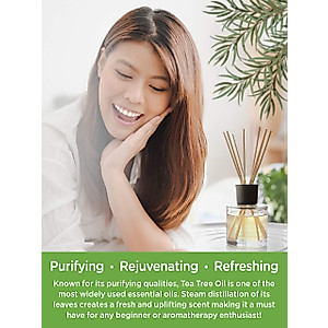 Nature's Truth Aromatherapy 100% Pure Essential Oil, Tea Tree, 0.5 Fl Oz