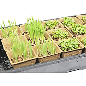 UTYLNE Seed Starter Kit with 90 Peat Pots for Seedlings Seed Starter Tray, 5 Plastic Growing Trays 20 Plant Labels & 3 Garden Tools Outdoor or Indoor