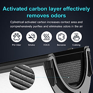 2-IN-1 HEPA Filter Replacement Compatible with Dyson HP06 TP06 HP07 TP07 TP7A HP09 TP09 PH01 PH02 PH03 PH04, Combi Glass Pure Cool Hot Humidify Fan, 2-IN-1 HEPA + Carbon Filter (Upgraded) (Black)