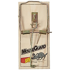 Pestguard TR1PDQ 803100 Rat Trap Wood PDQ Display 12PK, Brown