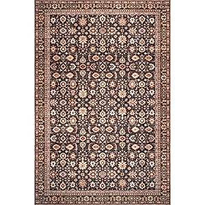 nuLOOM Cathie Persian Floral Machine Washable Area Rug, 8' x 10', Beige
