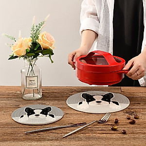 Dog Boston Terrier Puppy Pot Holders for Kitchen Cotton Round Holder Set of 2 Heat Resistant Trivets Coasters Pure Cotton Thread Weave for Hot Dishes