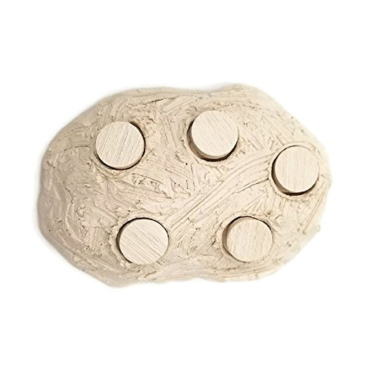 Oceans Wonders Flush Fit Frag Station Hub 5.0 Coral Reef Plug Holder with 5 Plugs