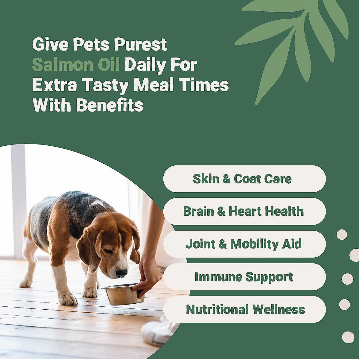 Pets Purest Salmon Oil for Dogs, Cats, Horses, Ferrets & Pets - 32 Fl Oz 100% Pure Premium Food Grade - Natural Omega 3, 6 & 9 Supplement - Promotes Coat, Skin, Joint and Brain Health