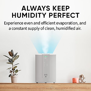 EVO WMH440 Self Sanitizing Pure Mist Humidifier (6L Capacity) – 28 Hour Continuous Run Time, Dishwasher Safe Base, Empty Tank Auto Shut-Off