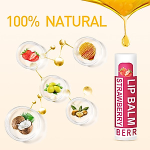 DMSKY 12 Pack Lip Balm, Natural Lip Balm Bulk with Vitamin E and Coconut Oil, Moisturizing Lip Balm for Dry Cracked Lips, Lip Balm for Stocking Stuffers - 12 Flavors