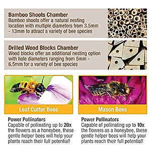 Nature's Way Bird Products PWH4 Deluxe Insect House