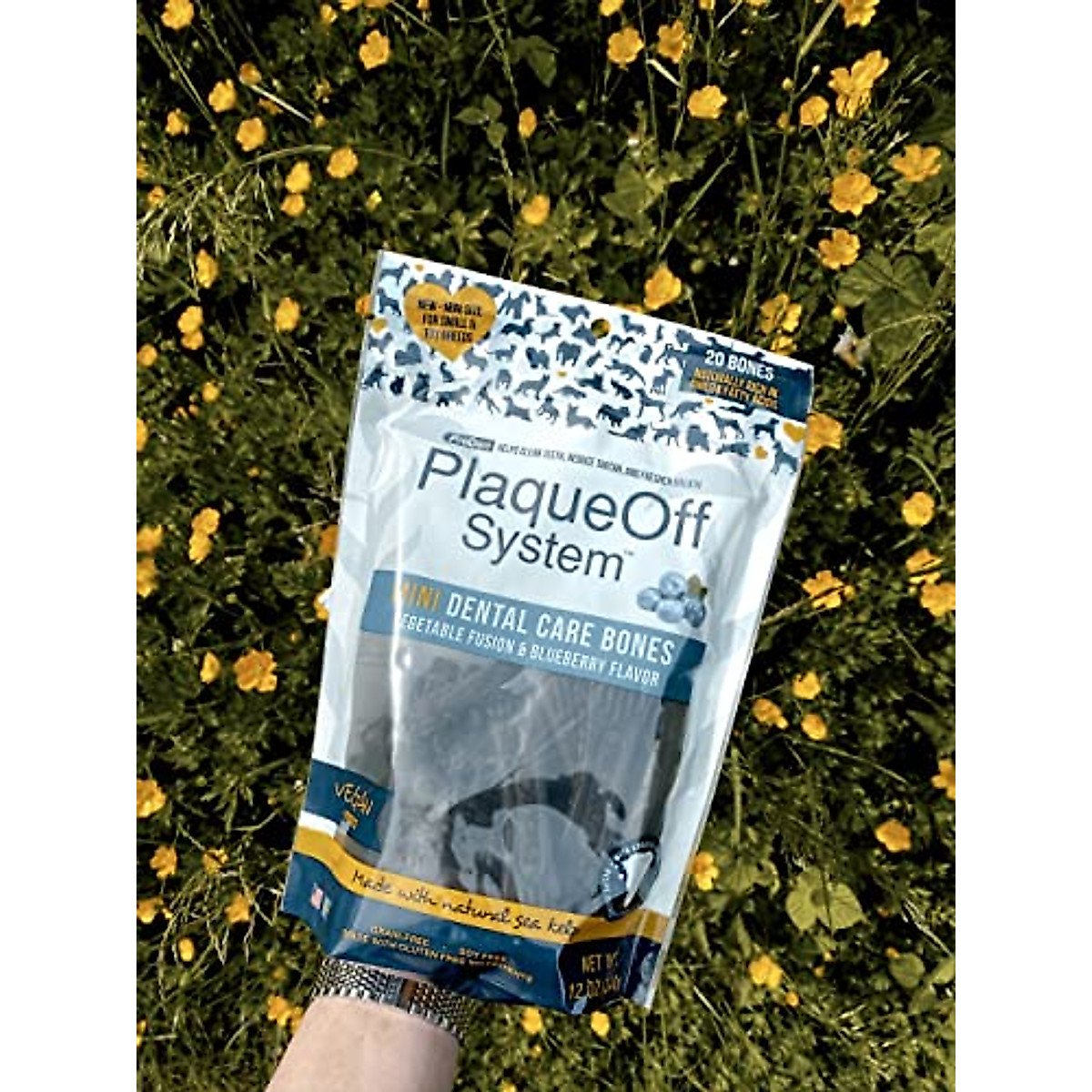 Proden Plaque Off Mini Dental Bones Vegetable Fusion and Blueberry 20 Count / 12 Ounces, Brown (PDDCB7)