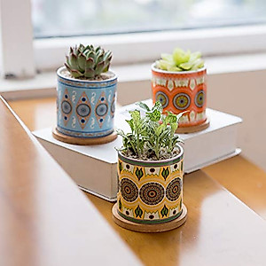 COLOAPT Succulent Plant Pots - 3.1 inch Ceramic Succulent Planter -Cylinder Flower Pots for Cactus with Drainage Hole and Bamboo Tray, 6 Pack (Multicolor1)