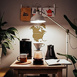 FINGERINSPIRE North America Map Stencil 11.8x11.8 inch Hollow Out United States Canada Mexico Map Drawing Stencil Reusable North America Travel Place Map Craft Stencil for Photo Album, Wall, Paper