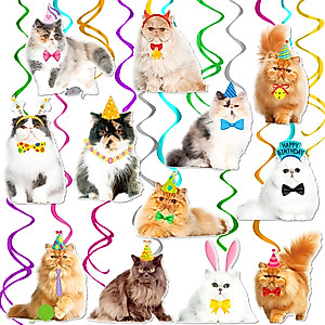 20Pcs Persian Cat Hanging Swirls Cat Themed Birthday Party Decorations Kitten Birthday Foil Ceiling Swirls Persian Cat Party Streamers for Pet Cat Baby Shower Supplies