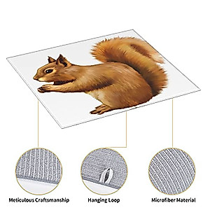 Lively Squirrel Printed Drying Mat For Kitchen Ultra Absorbent Microfiber Dishes Drainer Mats Non-Slip Silicone Quick Dry Pad - 18 X 16inch