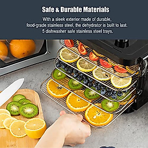 NutriChef Electric Countertop Food Dehydrator Machine - 350-Watt Premium Multi-Tier Meat Beef Jerky Maker Fruit/Vegetable Dryer w/ 4 Stainless Steel Trays, Digital Timer, Temperature Control