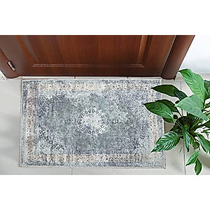 RugOver Machine Washable Area Rug, Pet Friendly & Resistant Indoor Carpet for Kitchen, Bathroom, Living Room (Ash/Champagne, 2' x 3')