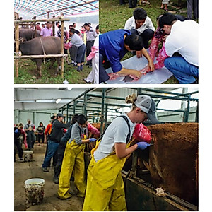 SUCHXNG 100Pcs Disposable Long Arm Gloves, 35.5 Inch Veterinary Insemination Rectal Long Gloves Soft Plastic Film Gloves for Household Cleaning Field Dressing