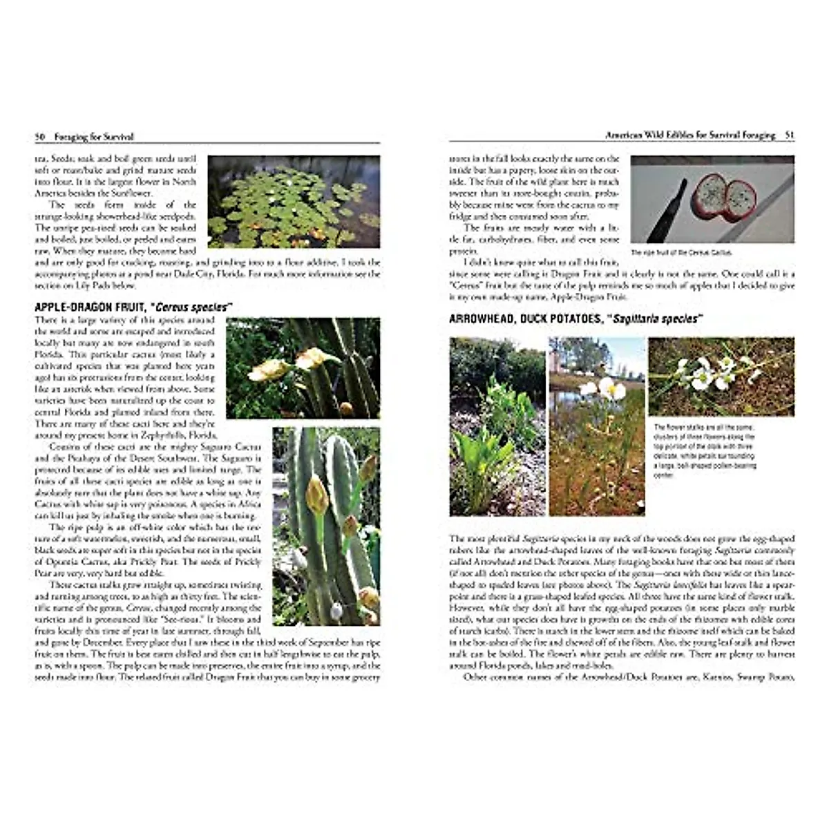 Foraging for Survival: Edible Wild Plants of North America