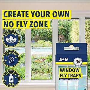 B&G Clear Window Fly Traps (30-Pack), Clear Fruit Fly Sticky Traps, Gnat Flypaper, Non-Toxic Glue, Odorless House Fly Strips, Durable Sticky Fly Traps for Indoors, Fly Paper Indoor for Home