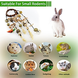 DAMPET 5 Strings， Bunny Teeth Grinding Chew Toys, Rabbit Cage Hanging Chew Toys, All Natural Materials for Guinea Pigs, Hamsters, Rabbits and Rats