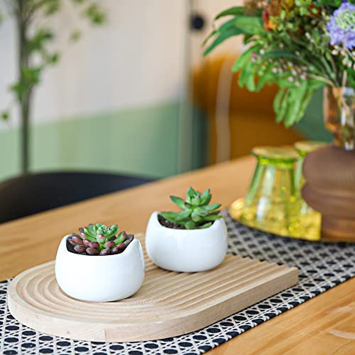 T4U Animal Succulent Pot 4 Inch Set of 6, Cat Shape Ceramic Planter with Drainage Hole, Cute Container for Small Cactus Bonsai Herb Plant, Indoor Home Office Garden Decoration Gift