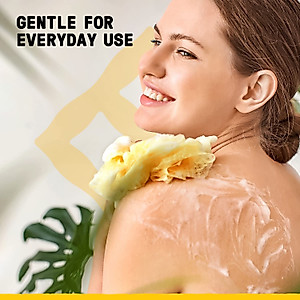 Alaffia EveryDay Coconut Shampoo, Gentle Cleansing Shampoo for Normal to Dry Hair, Made with Coconut Oil Rich in Vitamin E, No Parabens or Phthalates, Coconut, 2 pack - 32 Fl Oz Ea