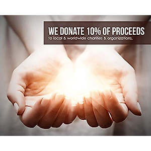 Fall Thank You Cards with Envelopes - Fall Themed Note Cards Variety - 24 Pack