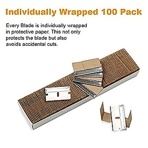 CANOPUS Single Edge Industrial Razor Blades (Razor 100) (Razor 100)
