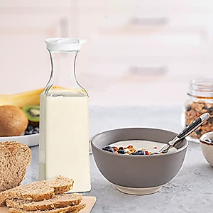 DilaBee Plastic Water Pitcher With Lid (50 Oz) Square Carafe Pitchers for Drinks, Milk, Smoothie, Iced Tea, Mimosa Bar Supplies - Juice Containers with Lids for Fridge - Food Grade BPA-Free (3-Pack)