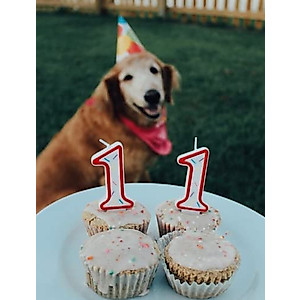 The Lazy Dog Cookie Co. Bake-at-Home Vanilla Birthday Cake Mix Dog Treat, 12-oz