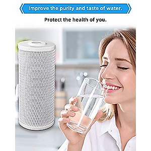 Fil-fresh 10" x 4.5" Whole House Water Filter 5 Micron Activated Carbon Water Filter Cartridge Replacement Compatible with DuPont WFHDC8001, Pelican CB-BB-10, EPM, EP-BB, 2 Pack