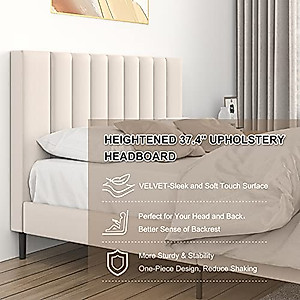 Flolinda Bed Frame Queen Size, Upholstered Bed Frame Queen Size with Tufted Velvet Headboard, Mattress Foundation, Strong Wood Slat Support Double Modern Bed Frame, No Box Spring Needed, Easy Assembly