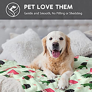 Fleece Throw Blanket for Couch Sofa Bed Office, Comfy Warm Fuzzy Flannel Throw Blanket 50 x 60 in, 350 GSM Soft Microfiber Plush Cozy Blankets Throws for Adult Kids All Season (Cactus)