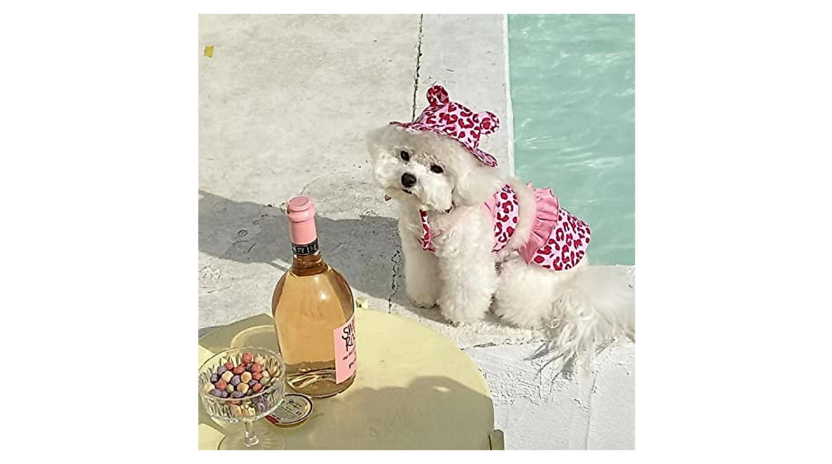 MuYaoPet Leopard Dog Bikini – Cute Pet Swimsuit