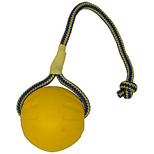 Starmark Swing 'n Fling DuraFoam Ball Dog Toy Large