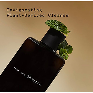 Hawthorne Men's Natural Shampoo with Tea Tree & Peppermint Oil. Invigorating Fresh Geranium Leaf Scent. Sulfate Free, Paraben Free. 8 fl. oz. 2-Pack.