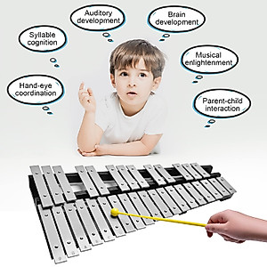 Sierjian 32 Keys Glockenspiel,Foldable Aluminum Xylophone for Adults, Percussion Instruments Kit for Children,Professional Educational Percussion Musical Instrument with 4 Mallets and Carrying Bag