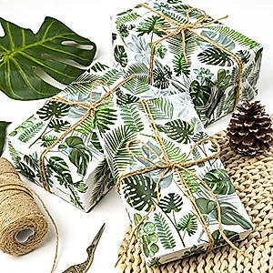 LaRibbons Monstera Leaf Wrapping Paper Roll - Perfect for Birthdays, Wedding, Baby Showers, Mother's Day - 30 inch x 33 feet