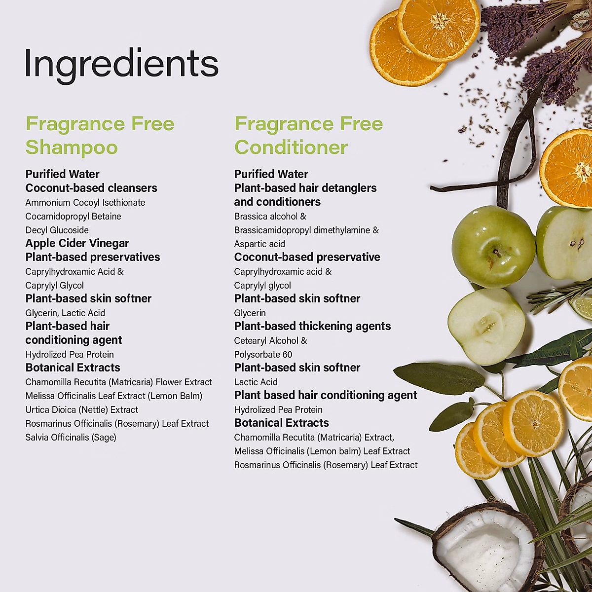 Phillip Adam Fragrance Free Shampoo and Conditioner Set with Apple Cider Vinegar - pH Balancing - Enhance Shine and Smoothness- 12 Ounce Each