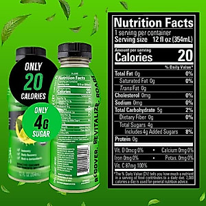 Organic Golden Tiger Turmeric Lemonade with Green Tea - Bio Active Curcumin + Green Tea + Ginger - 12 Bottles - Recover with Plant Based Power - 20 Calories