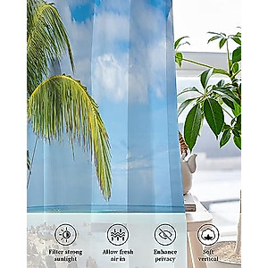 Sheer Curtains 1 Panel,Palm Tree Beach Sea Cloud Blue Sky Island Reef Stone Chiffon Window Treatment Grommet Semi Transparent Drapery for Kitchen Bedroom Decorations,52x96 Inch