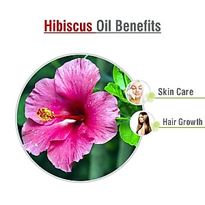 Hibiscus (Hibiscus Sabdariffa L) Essential Oil 100% Pure Uncut Undiluted Cold Pressed Herbal Premium Aromatherapy Oil 50ML