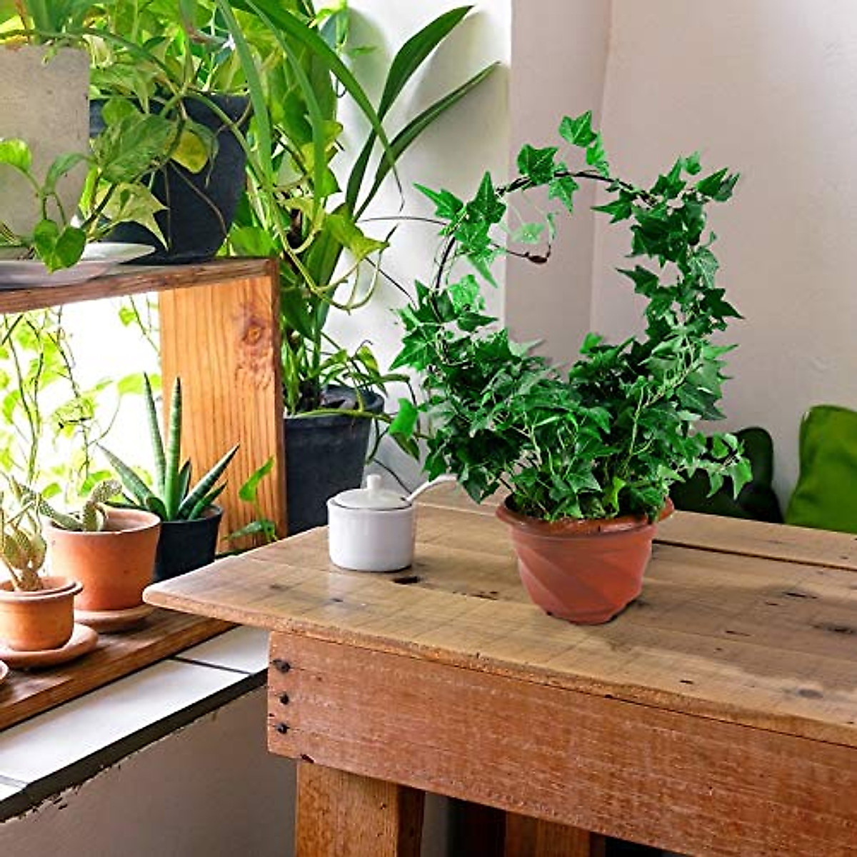 2 Pack Black Iron Garden Trellis for Climbing Plants- 13" Rust Free Vine Plant Metal Support Wire with Black Coating Decorative Potted Plants Climbing Holder Rack for Garden Stem Stalks Vines (Round)